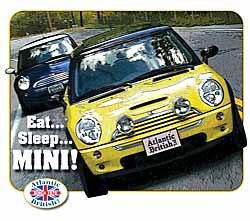 Eat Sleep MINI T-Shirt