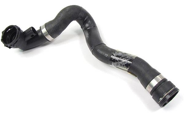 Hose Radiator Lower (Gen